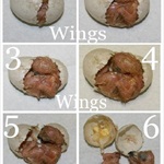 Breeding and Raising Owls | Owl breeder Wings